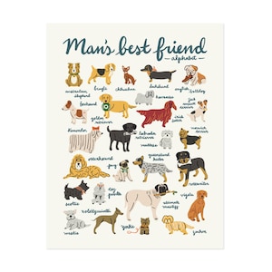 Mans Best Friend Dog Breed Alphabet Art Print | Etsy