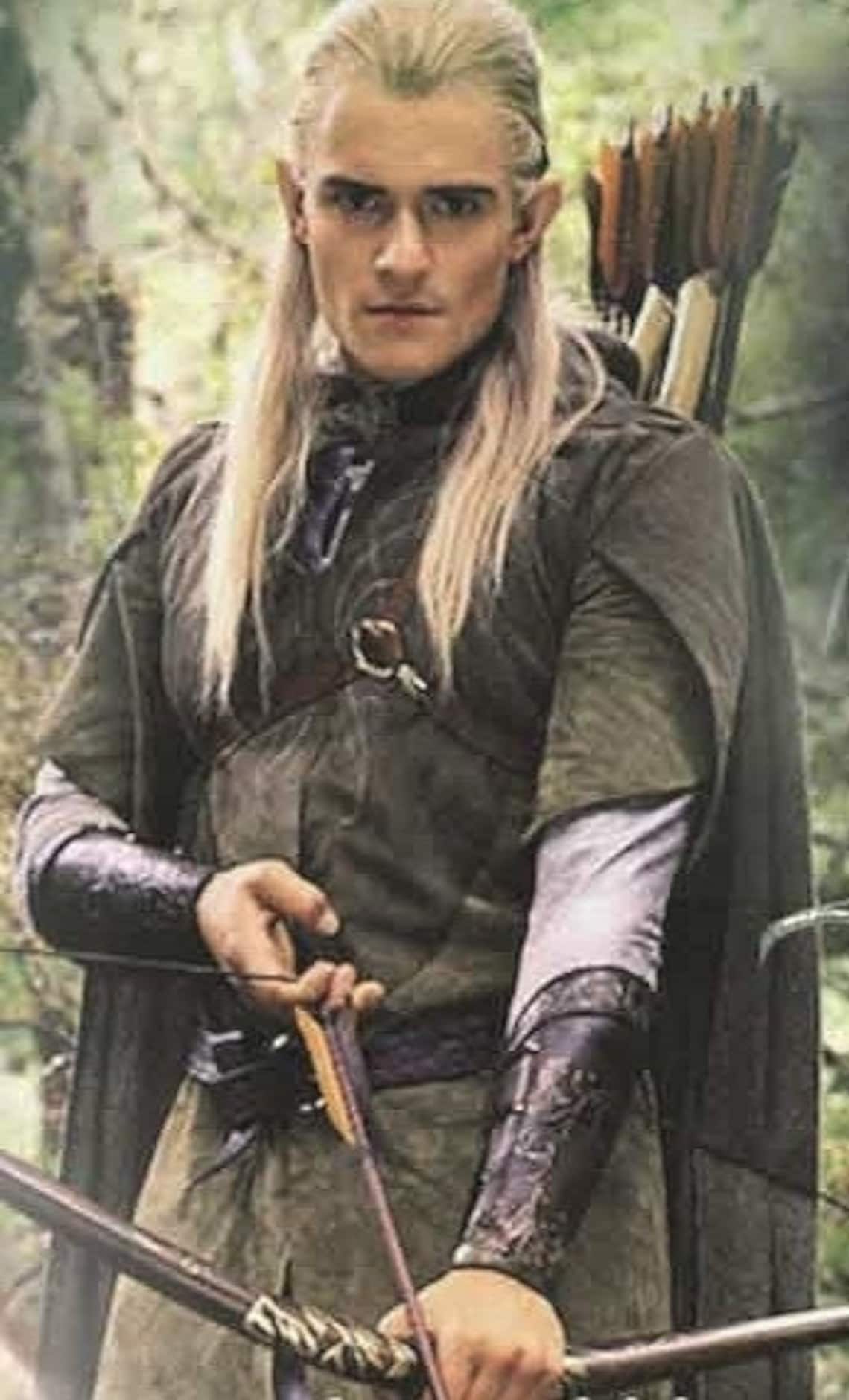 LEGOLAS Wig Lord of the Rings Braided Cosplay Wig READY to - Etsy