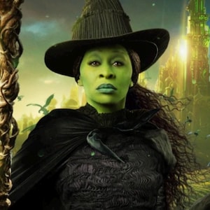 Curly Wig "wicked" Witch Elphaba Cosplay Wig * Beautiful Curly, Black ...