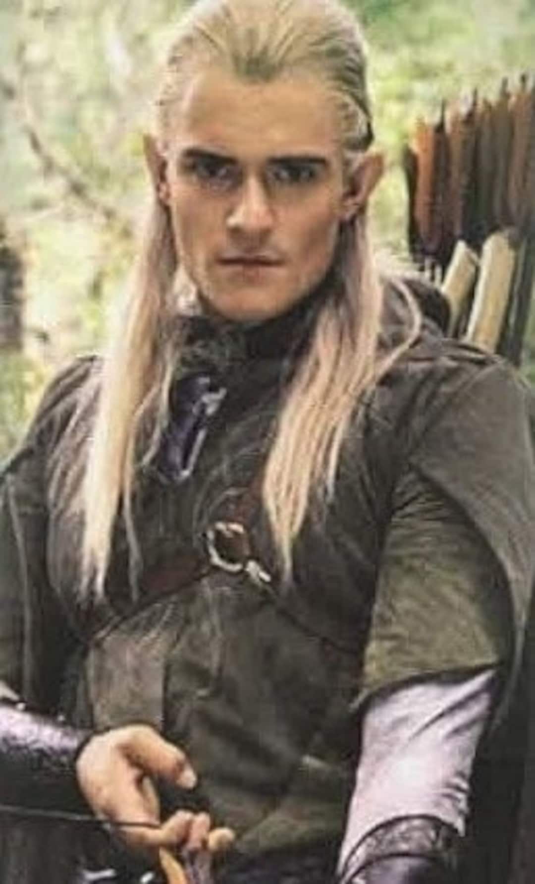 LEGOLAS Wig, Lord of the Rings Braided Cosplay Wig READY to SHIP - Etsy
