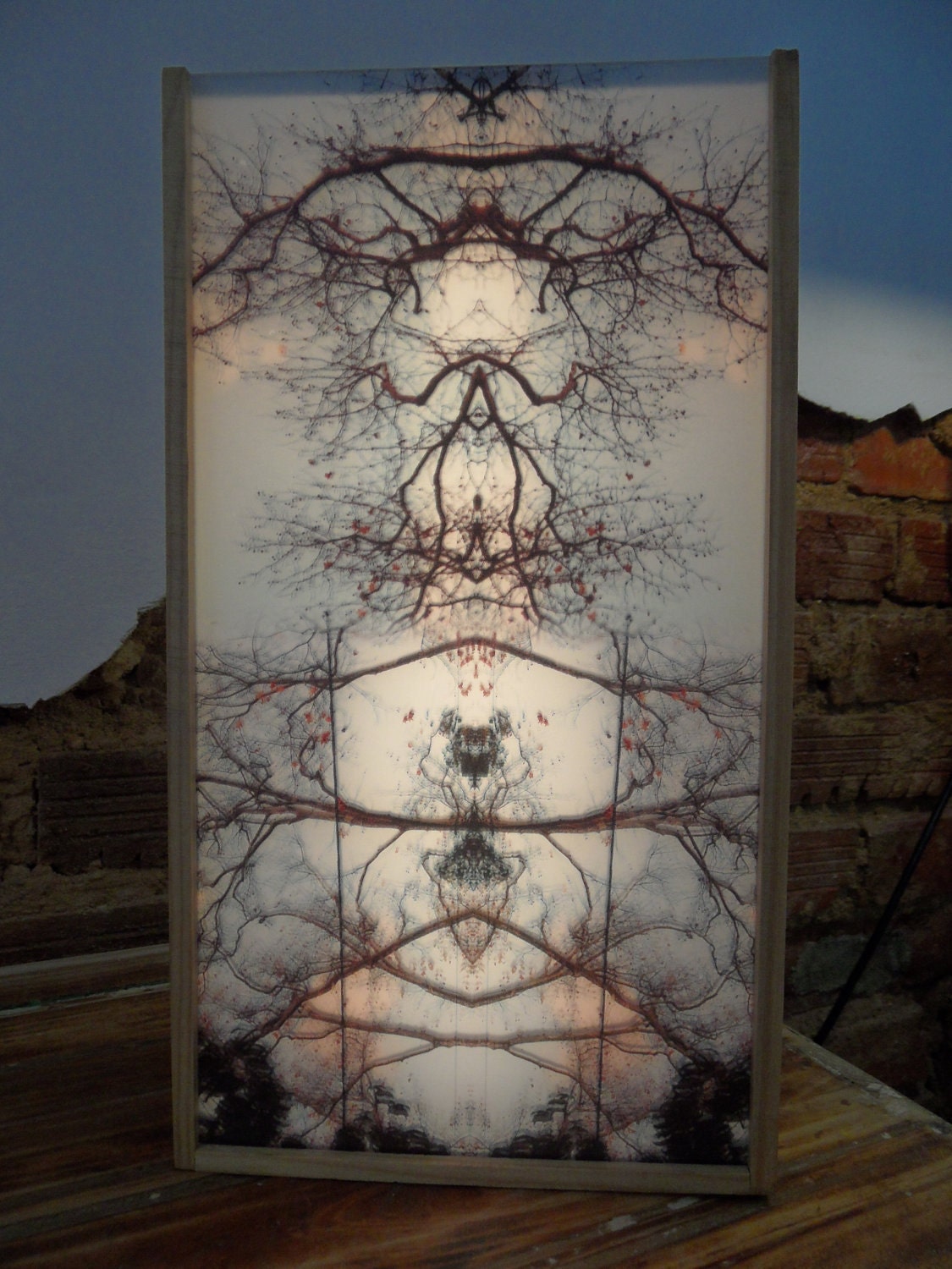 Unique Nature Art Light Box - Mix Media Art Photography - Upcycled Wine ...