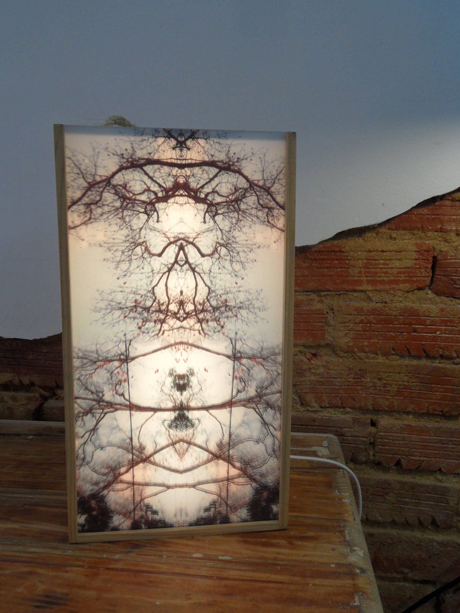 Unique Nature Art Light Box Mix Media Art Photography - Etsy