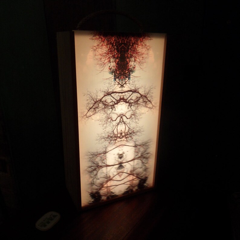 Unique Nature Art Light Box - Mix Media Art Photography - Upcycled Wine ...