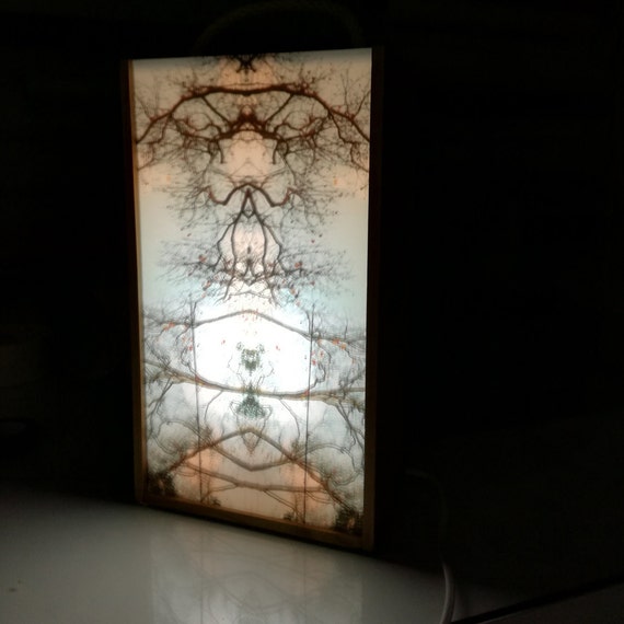 Unique Nature Art Light Box Mix Media Art Photography | Etsy