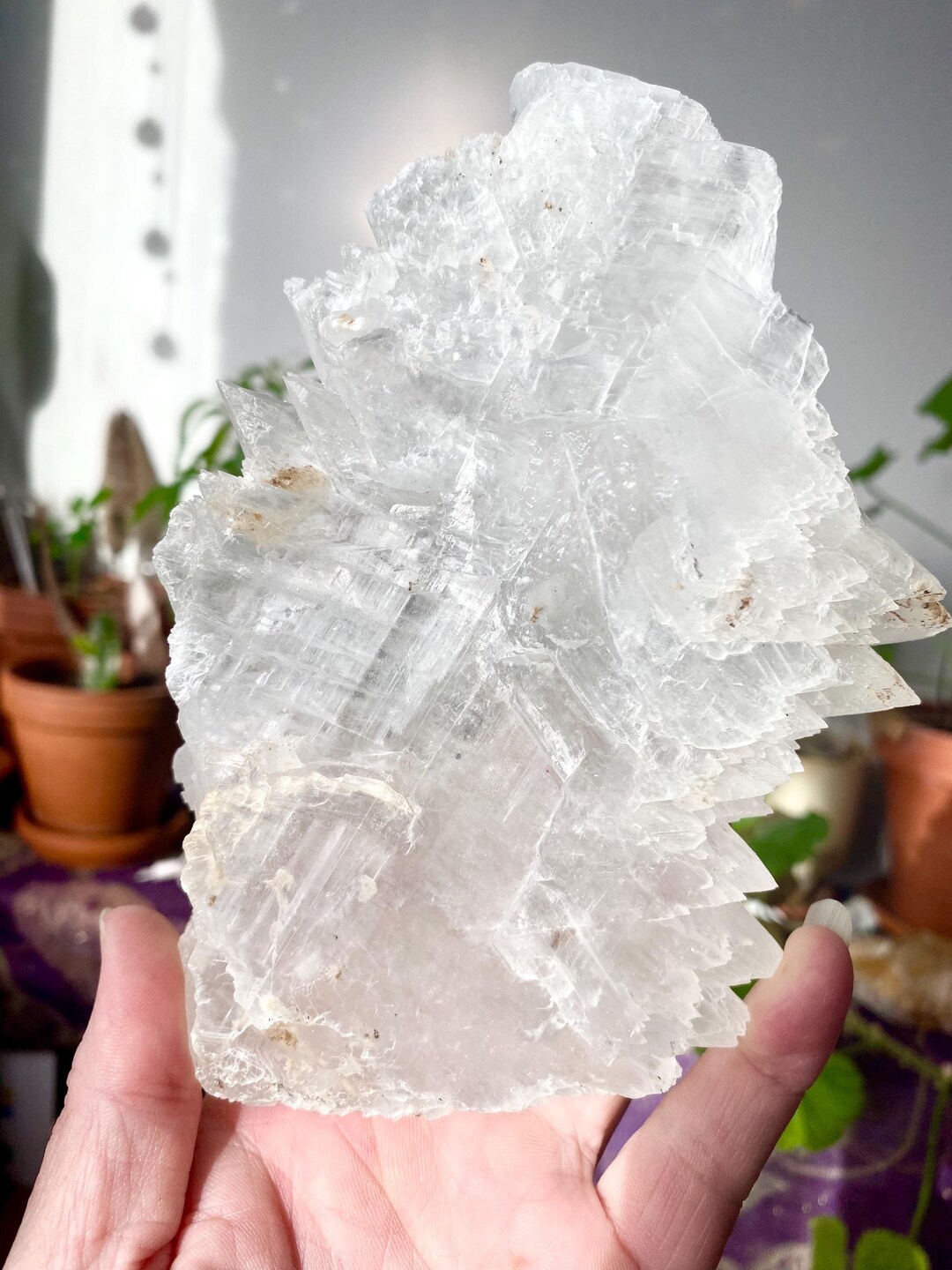 Selenite Angel Wing, Fishtail Selenite Crystal, Home Decor, Gift - Etsy