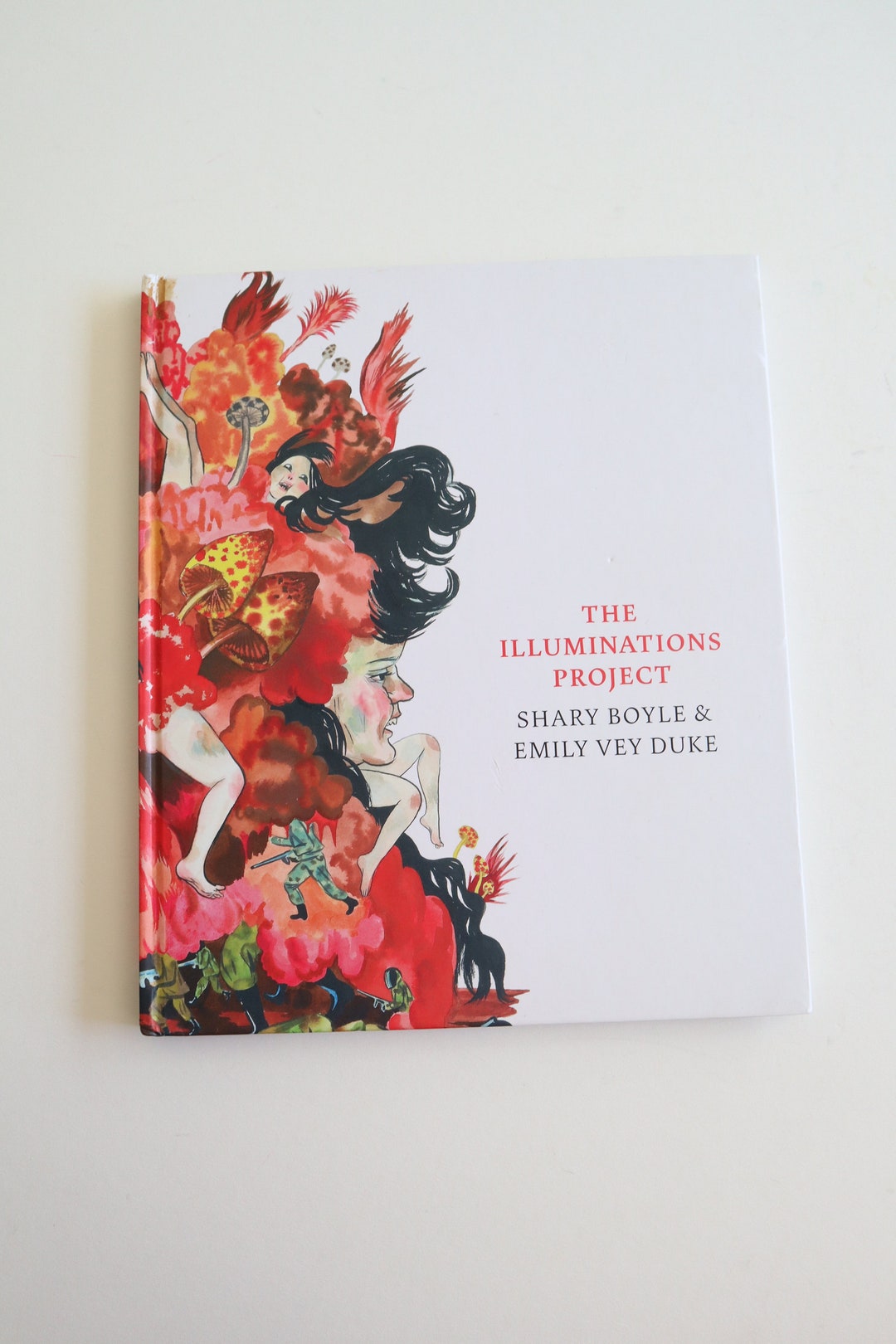 Shary Boyle and Emily Vey Duke: the Illuminations Project Book ...