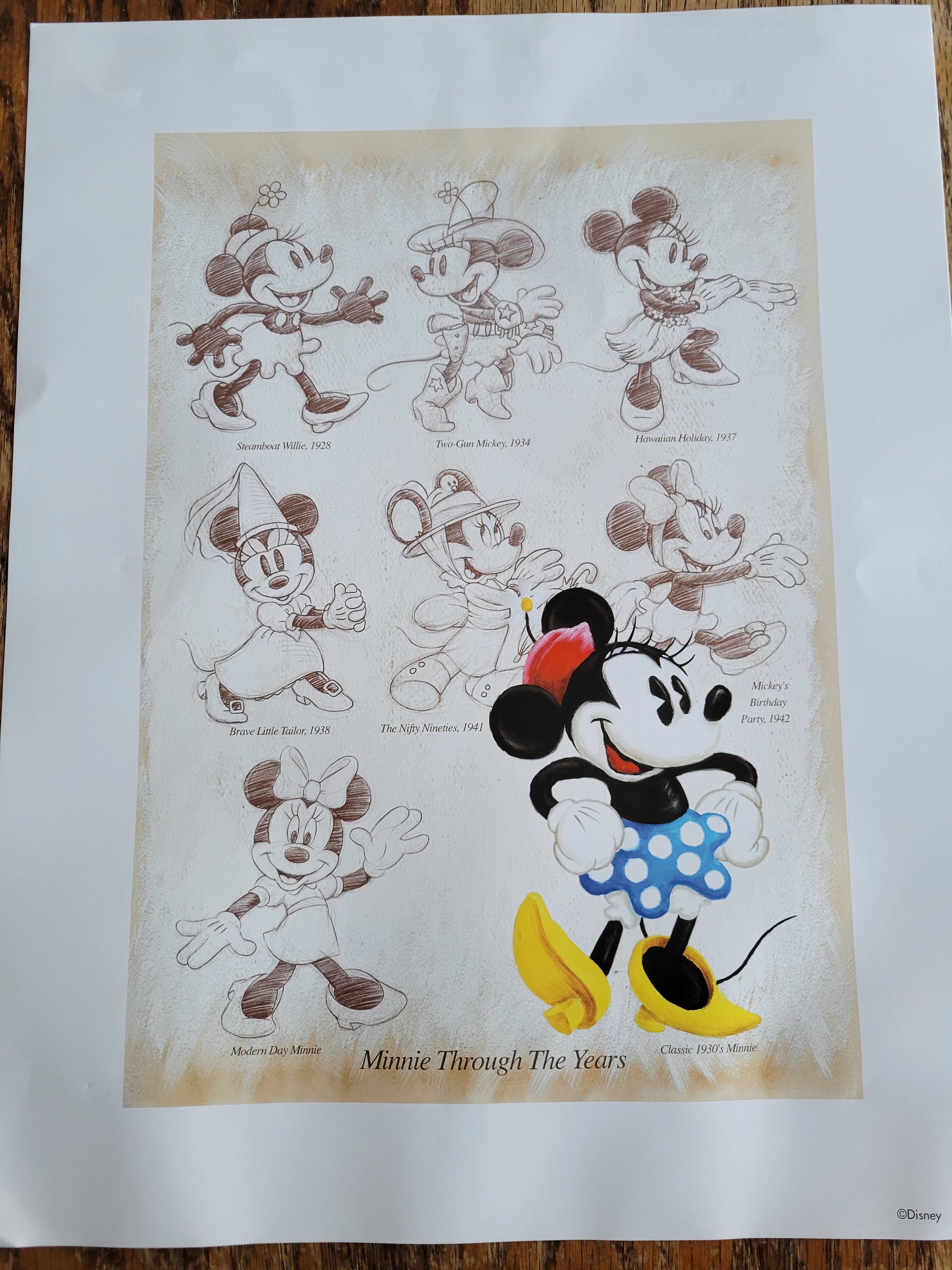 Minnie Through the Years Plush Figures Collection, 75th Anniversary ...