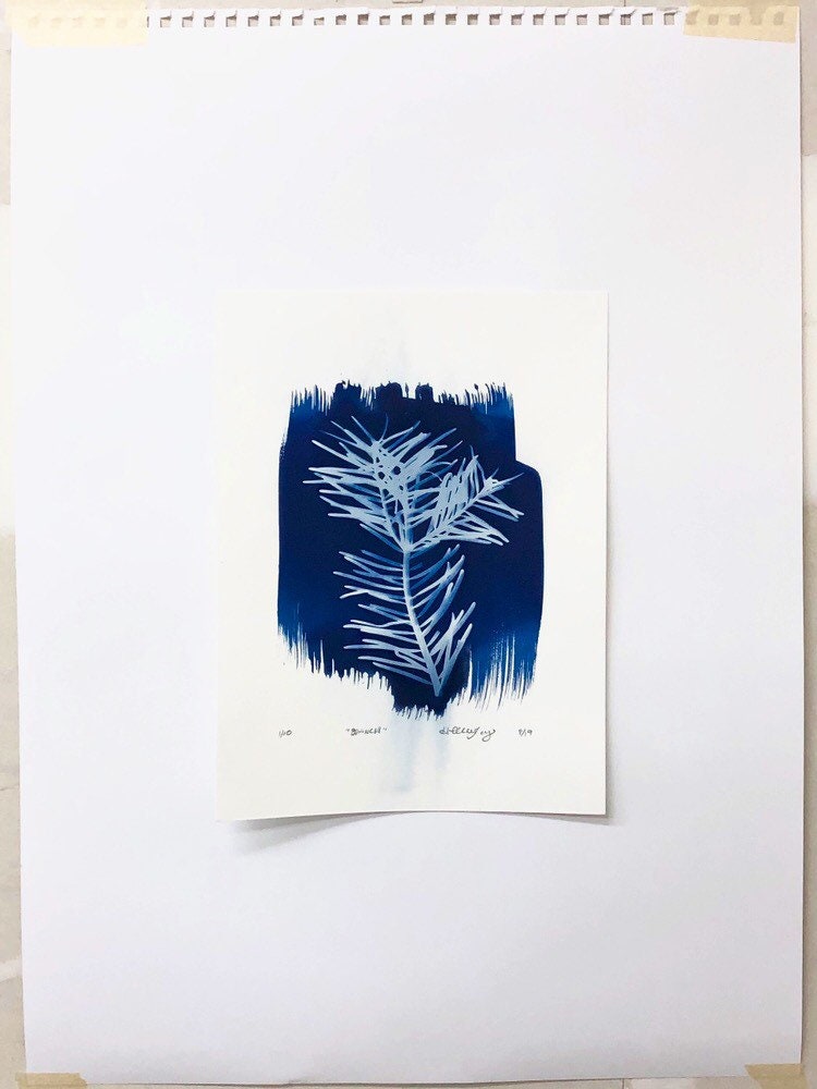 Cyanotype Art, Pine Tree, Forest Art, Mountain Art - Etsy
