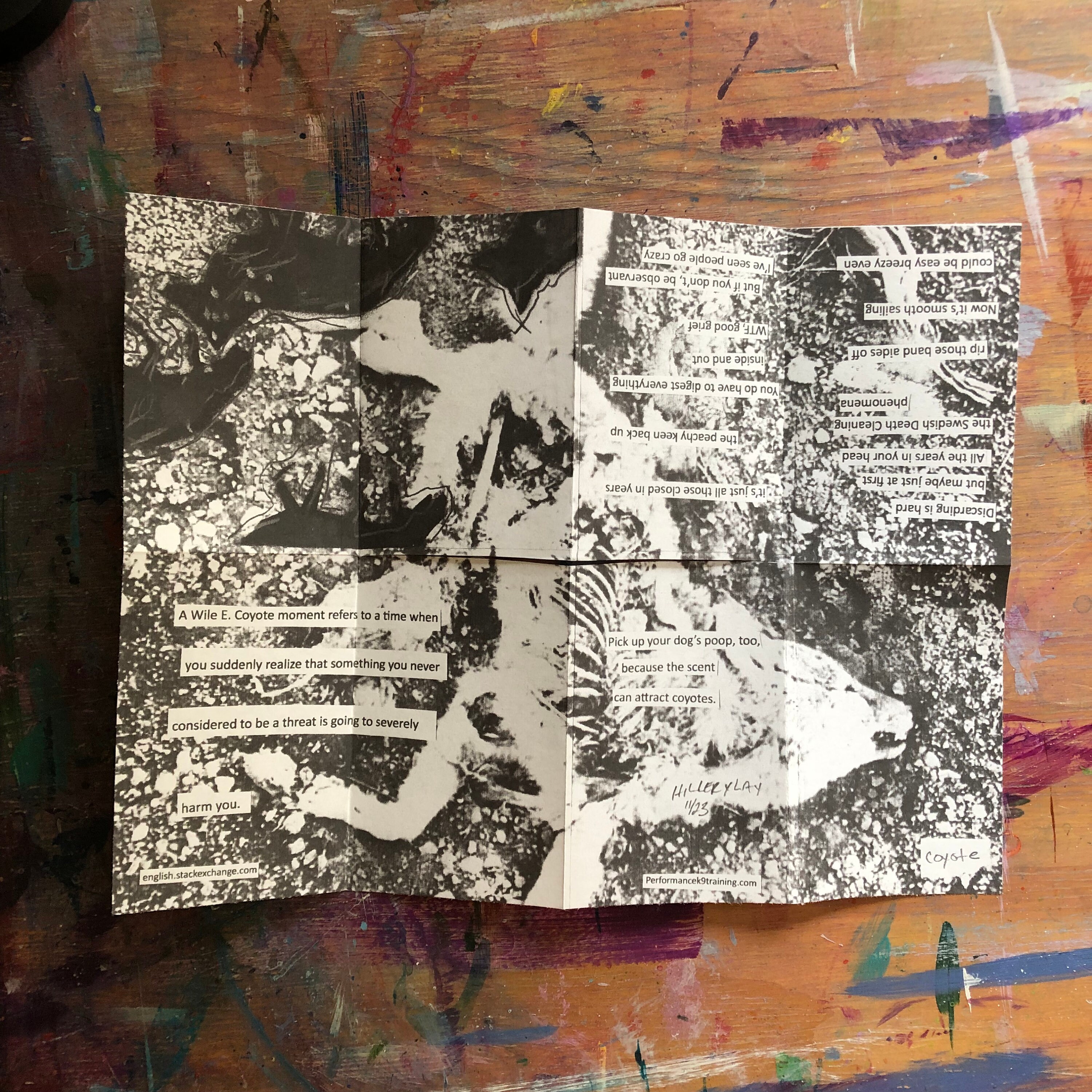 Zine Perzine Art Zine Coyote Zine Mini Zine Mental Health - Etsy