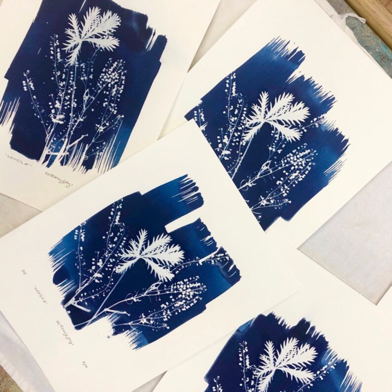 Cyanotype Leaf Print, Botanical Art, Blue Art, Plants, Floral Print ...