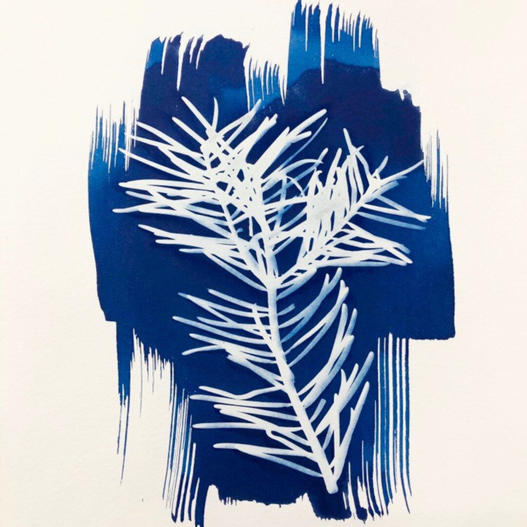Cyanotype Art Pine Tree Forest Art Mountain Art - Etsy