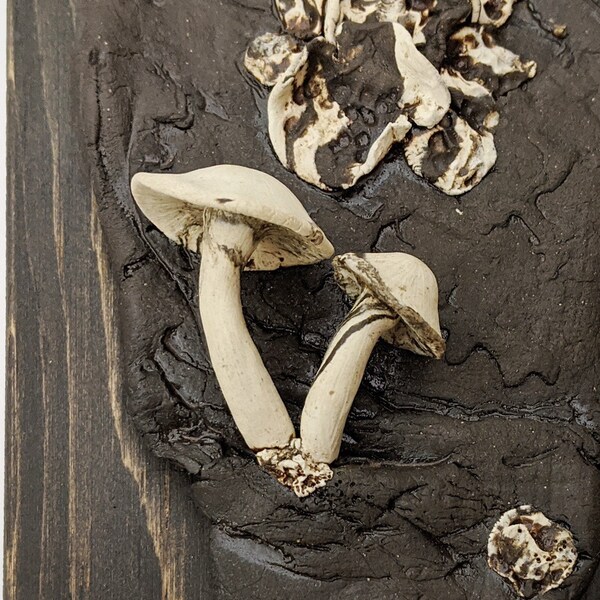 Mushroom Tile - Etsy