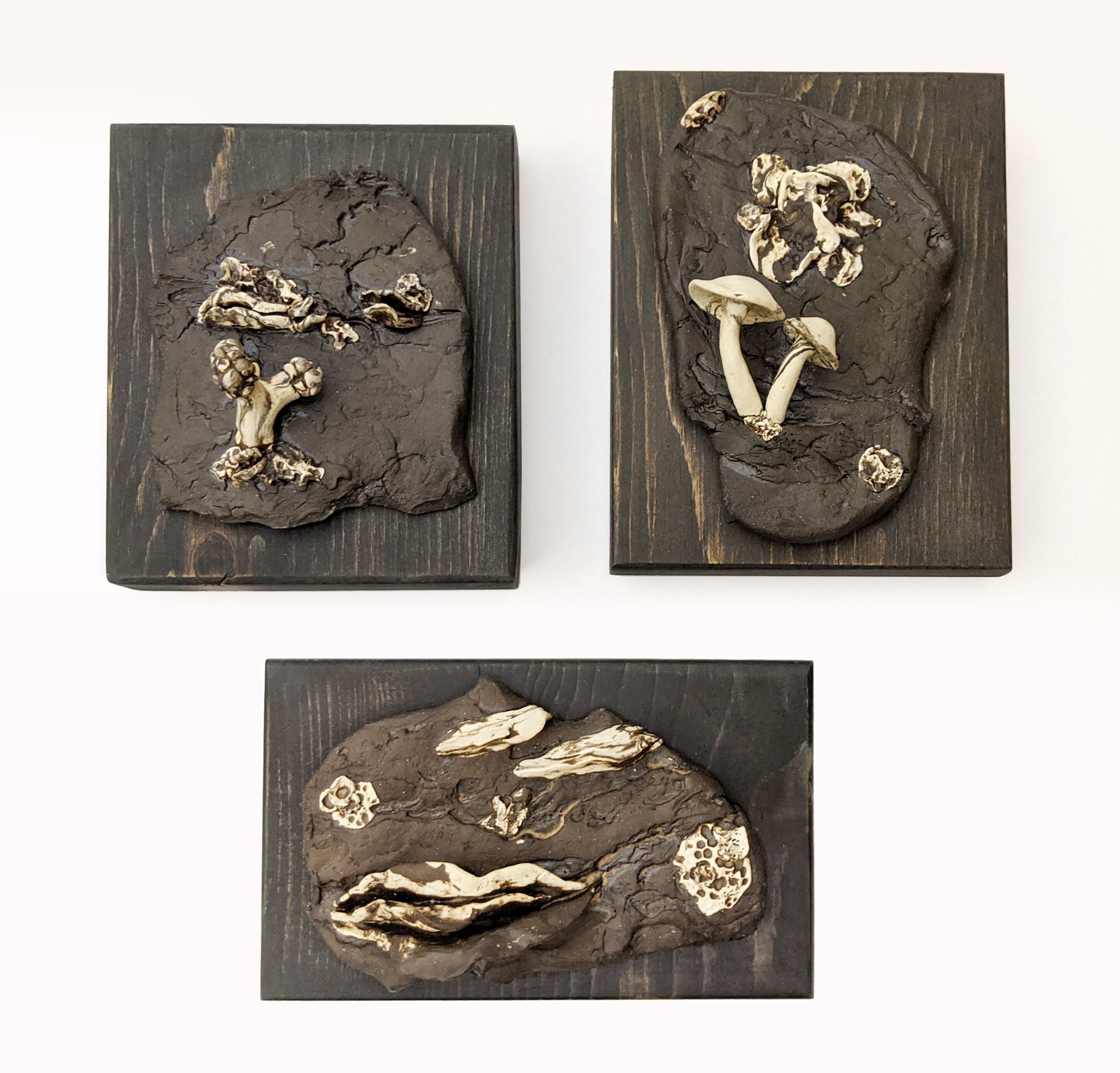 Ceramic Mushroom Wall Tile 1 / Handmade Mushroom & Fungus - Etsy.de