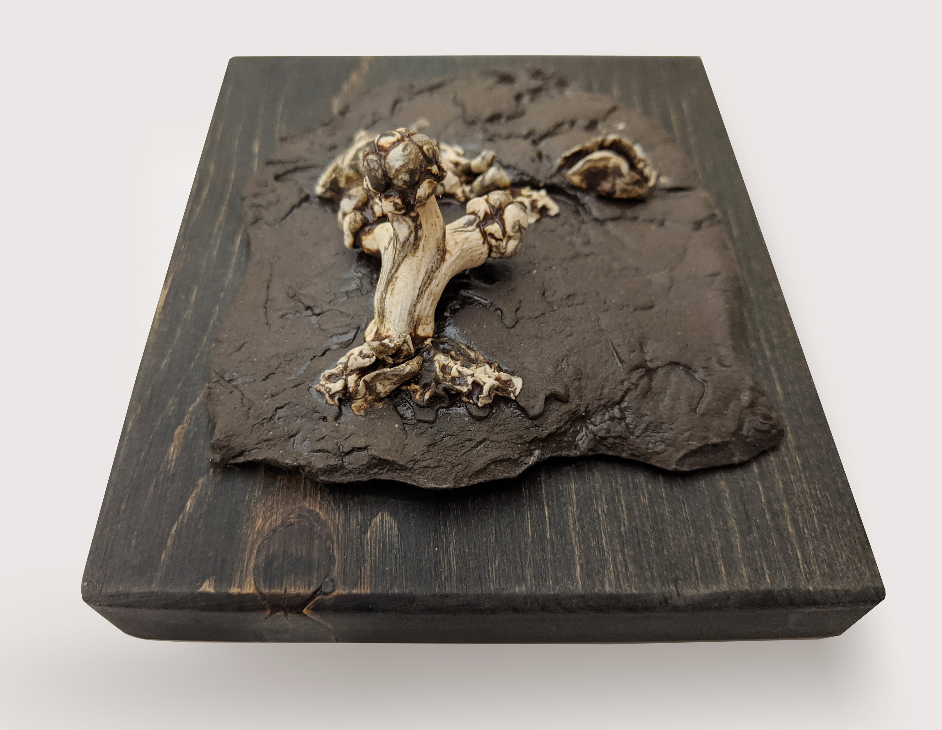 Ceramic Mushroom Wall Tile 1 / Handmade Mushroom & Fungus - Etsy.de