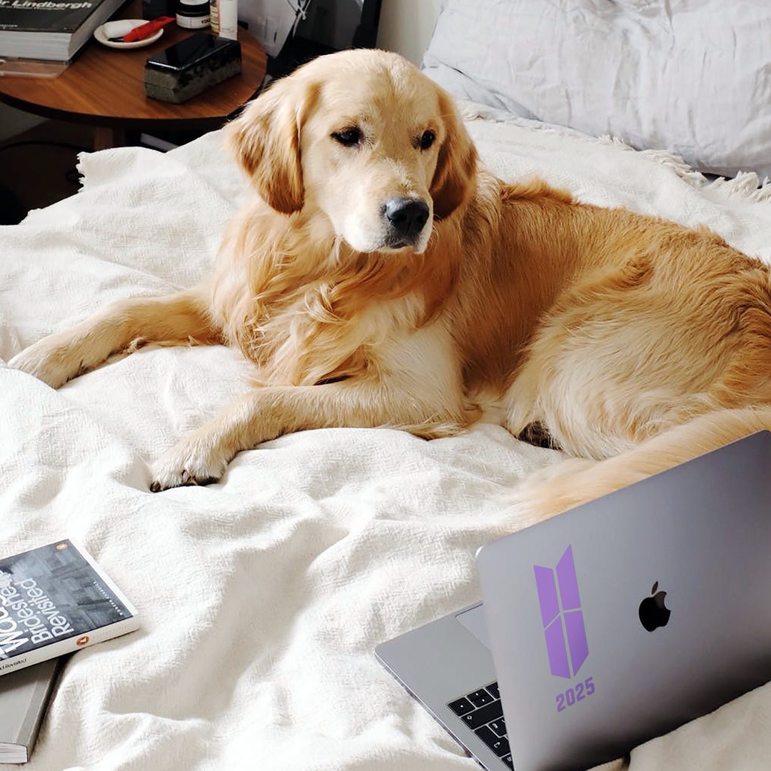 BTS Army Logo Combined Shield Decal Holographic Holo Silver Kpop ...