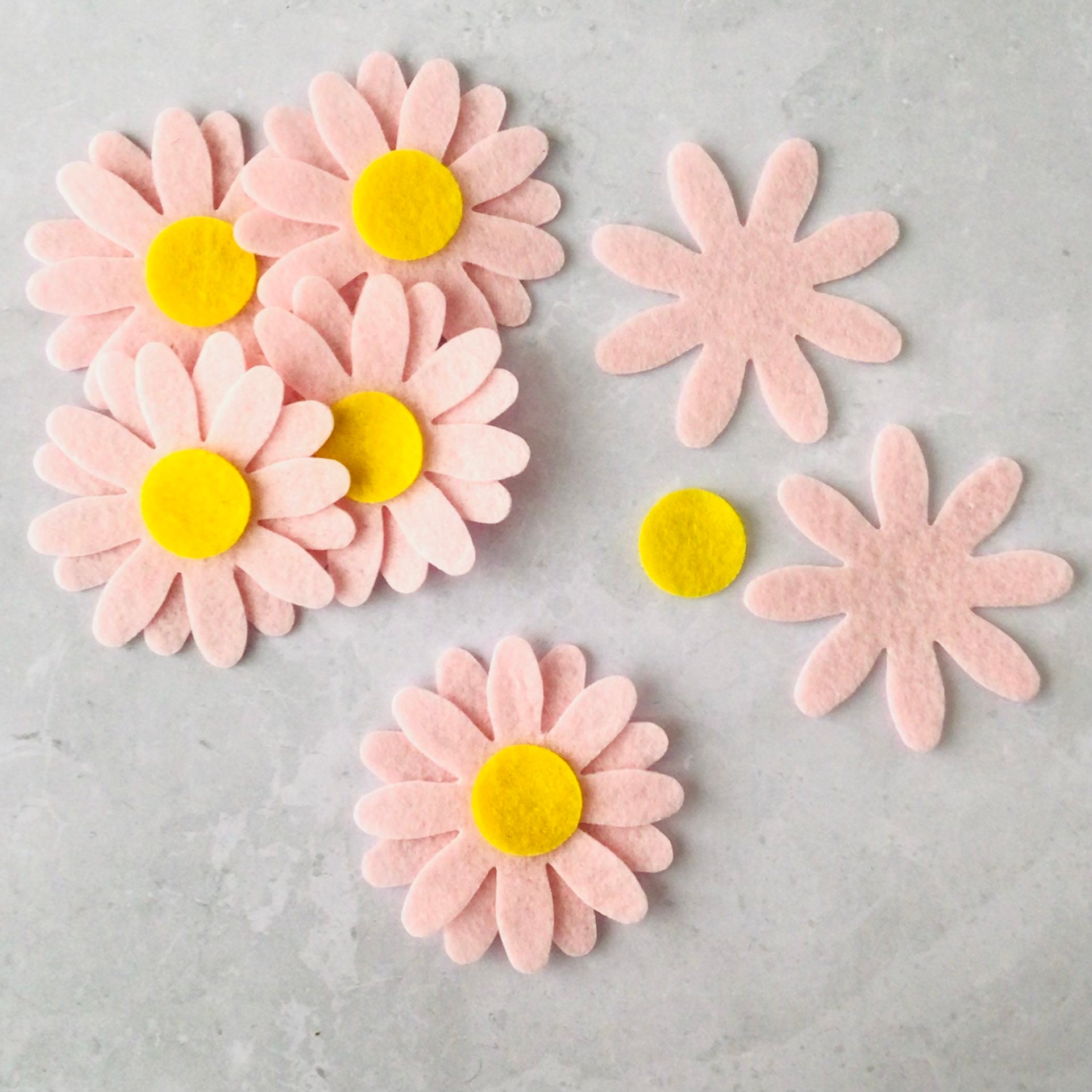 Pink Daisy Flowers LARGE Die Cut Felt Daisies Champagne - Etsy UK
