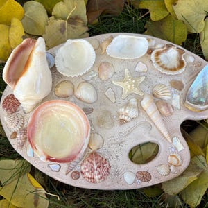Seashell Paint Palette, Custom Made-to-order - Etsy