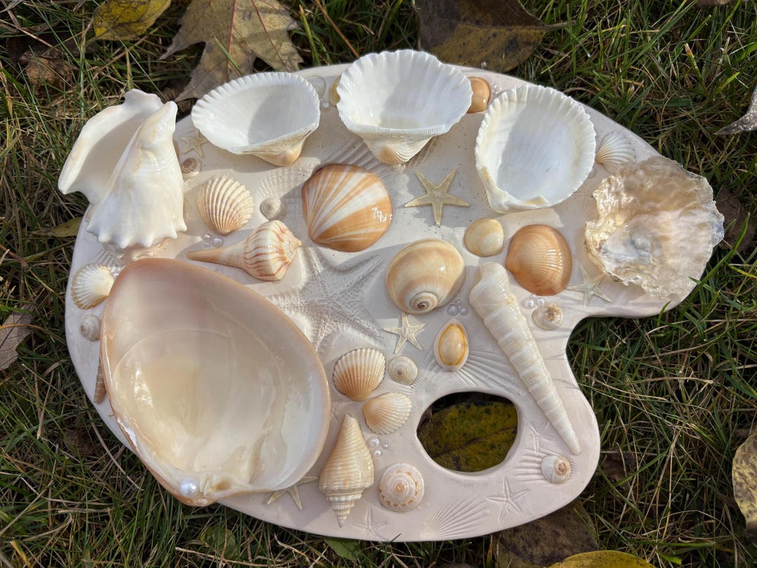 Seashell Paint Palette, Custom Made-to-order - Etsy