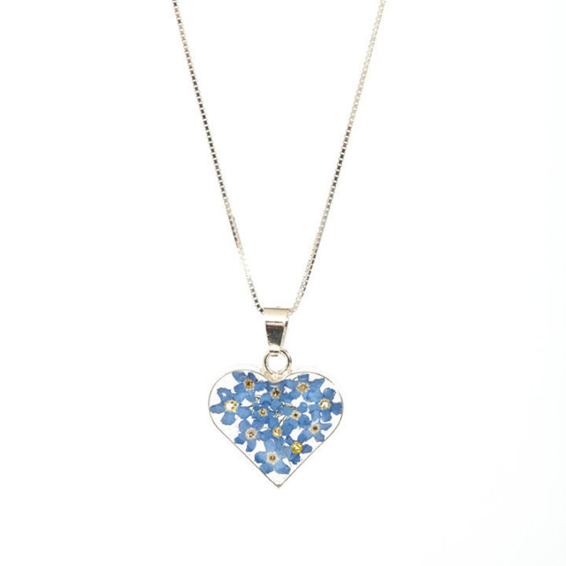 Real Flower Forget Me Not HEART Pendant (medium) Inc 18'' Sterling ...