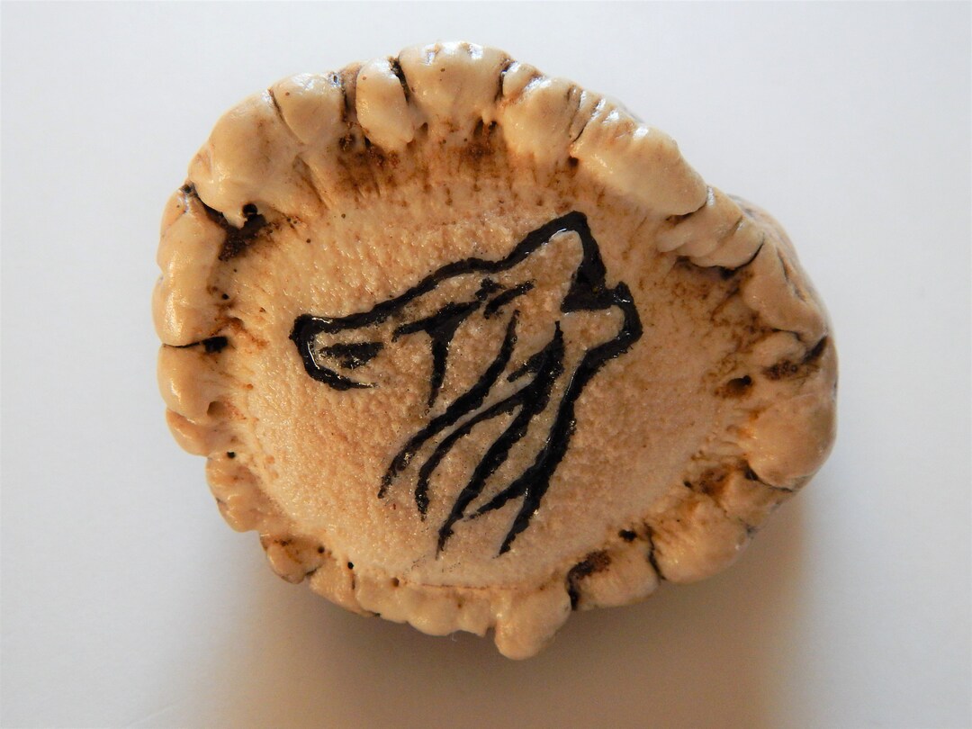 Carved Elk Antler Burr Howling Wolf, Rosette, Crown, Naturally Shed ...