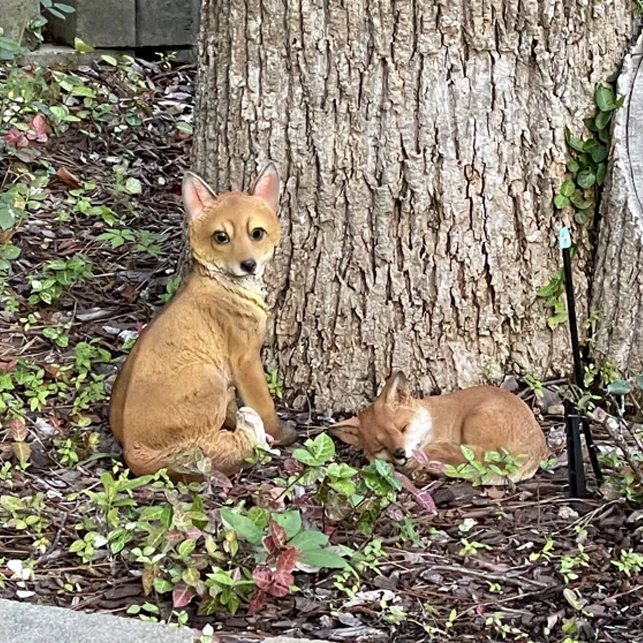 Woodland Fox Garden Statue, Fox Statue, Animal Statue, Woodland Fox ...