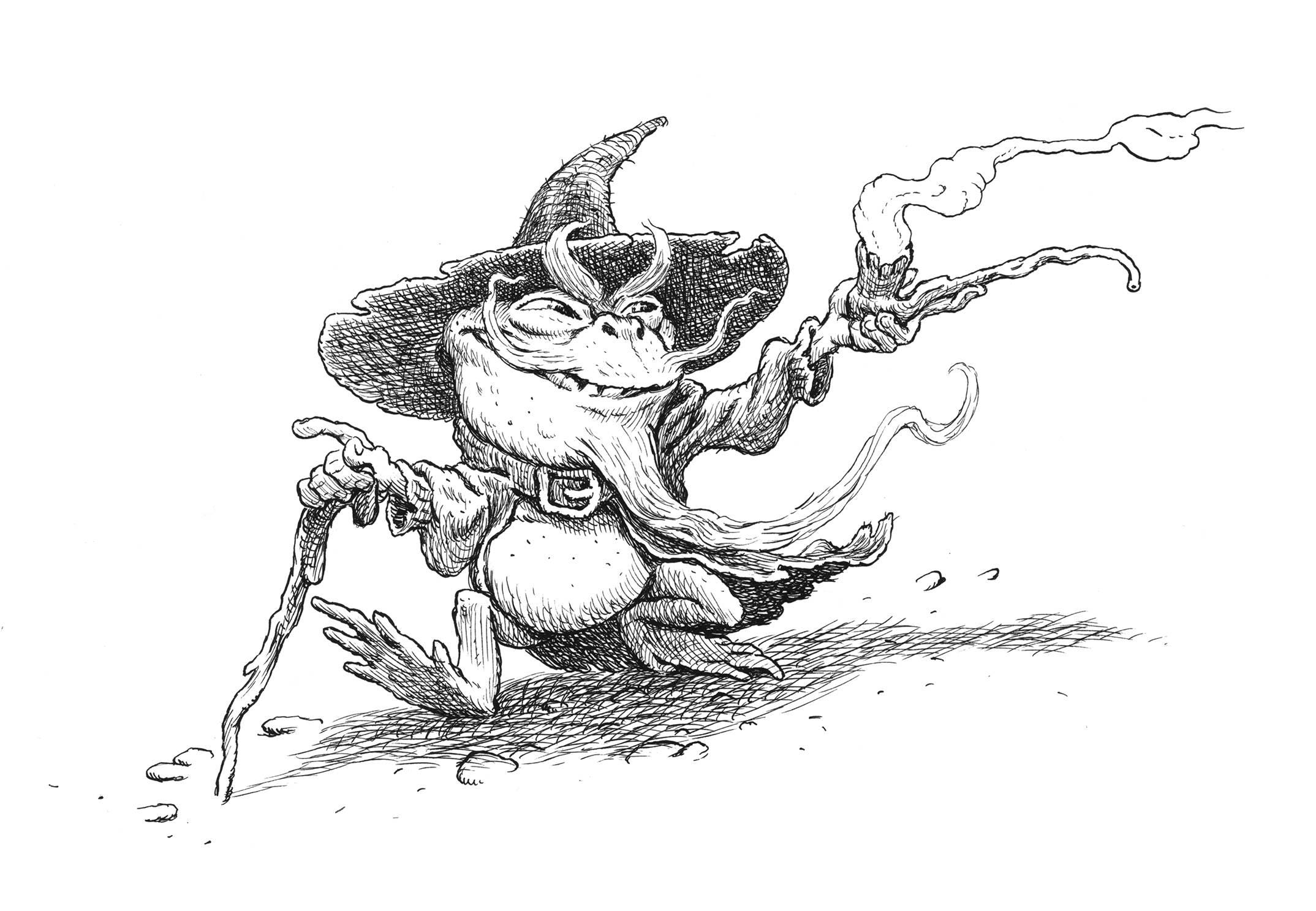 Frog Wizard 5 x 7 Hand-Signed Print on Card Stock | Etsy