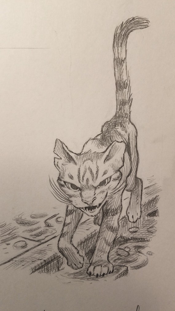 Original Art Preliminary Pencil Drawing for Raffie on the | Etsy