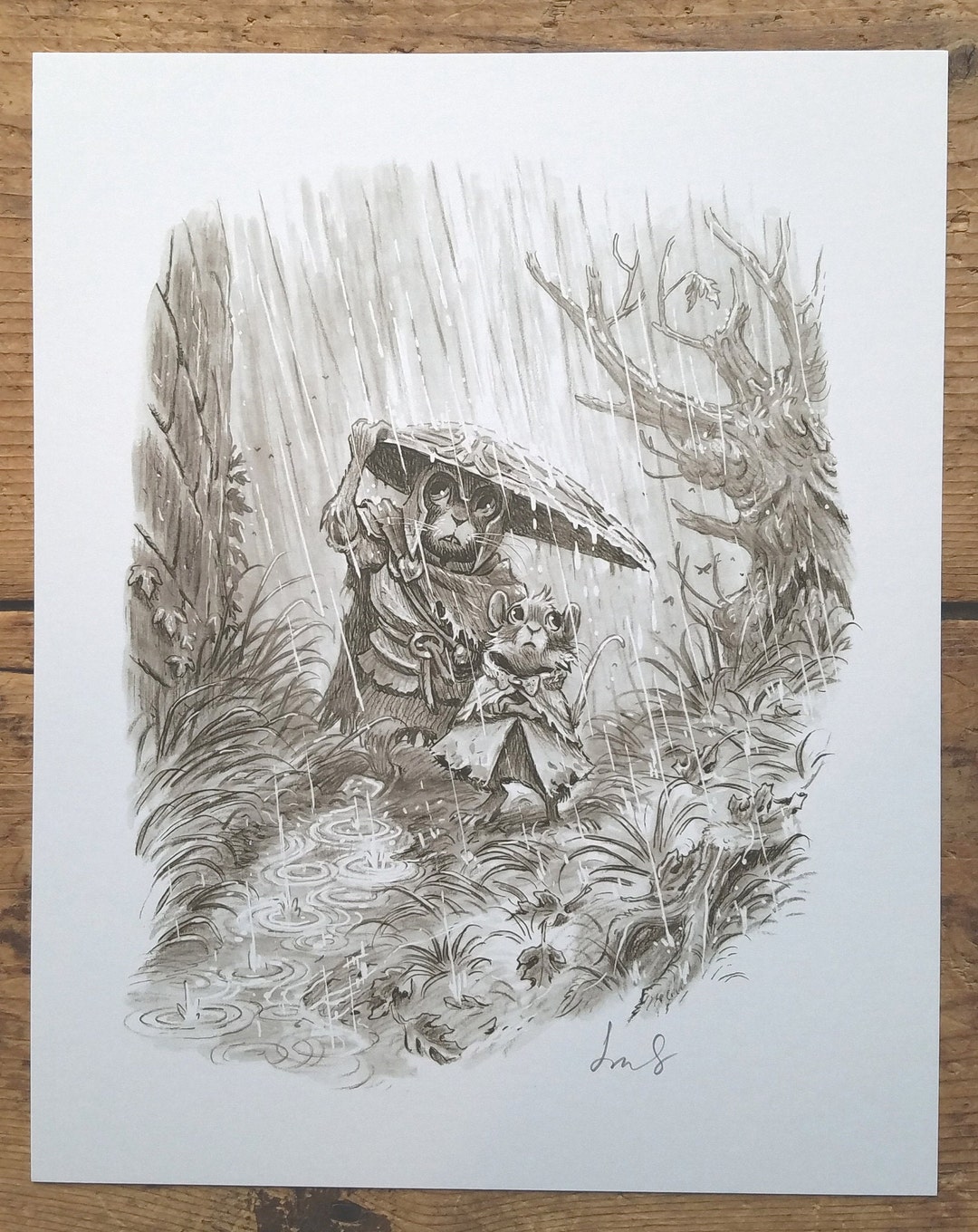Little Pilgrim's Progress - Bypass Meadow From the Newly Envisioned ...