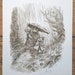 Little Pilgrim's Progress - Bypass Meadow From the Newly Envisioned ...