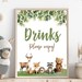 Woodland Animals Drinks Table Sign Printables, WAN724 - DIGITAL FILES ...