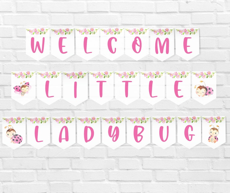 Pink Ladybug Theme Girl Baby Shower Printable Party Banner - Little ...