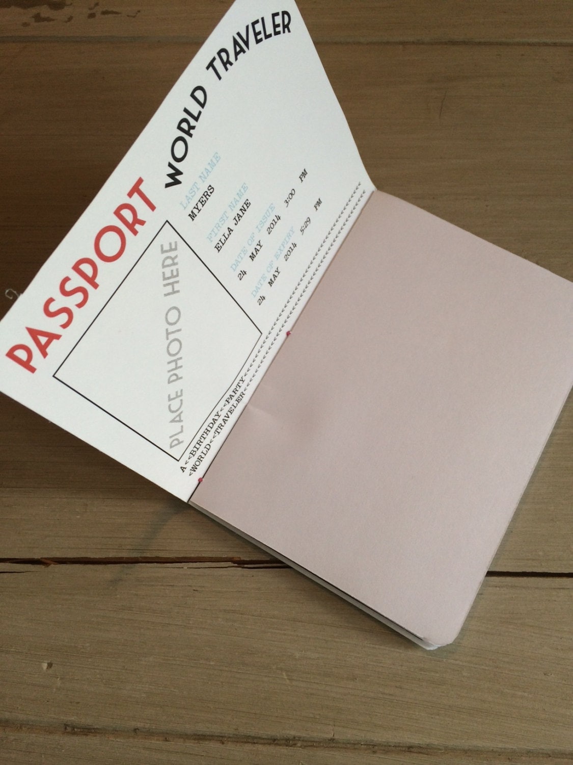 Passport Party Favor Party Passport Airplane Birthday Party | Etsy