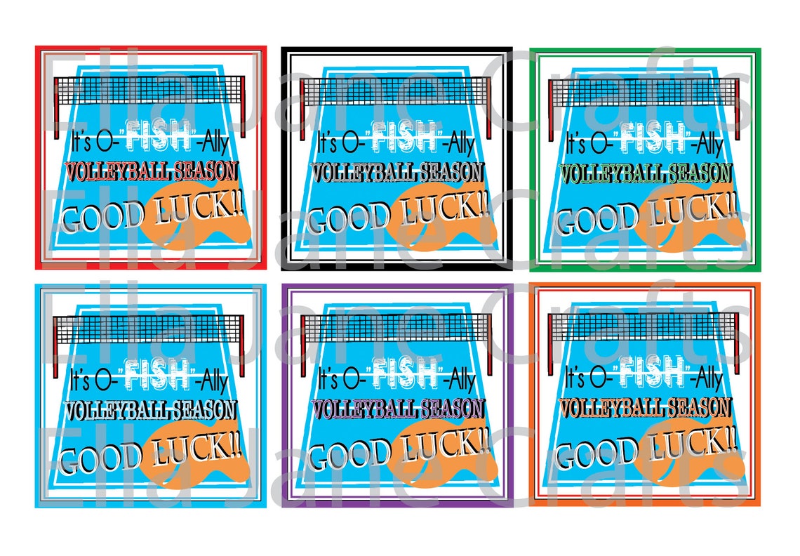 Volleyball Team Gift, Goldfish Gift Tag, Team Gifts, Candy Good Luck ...