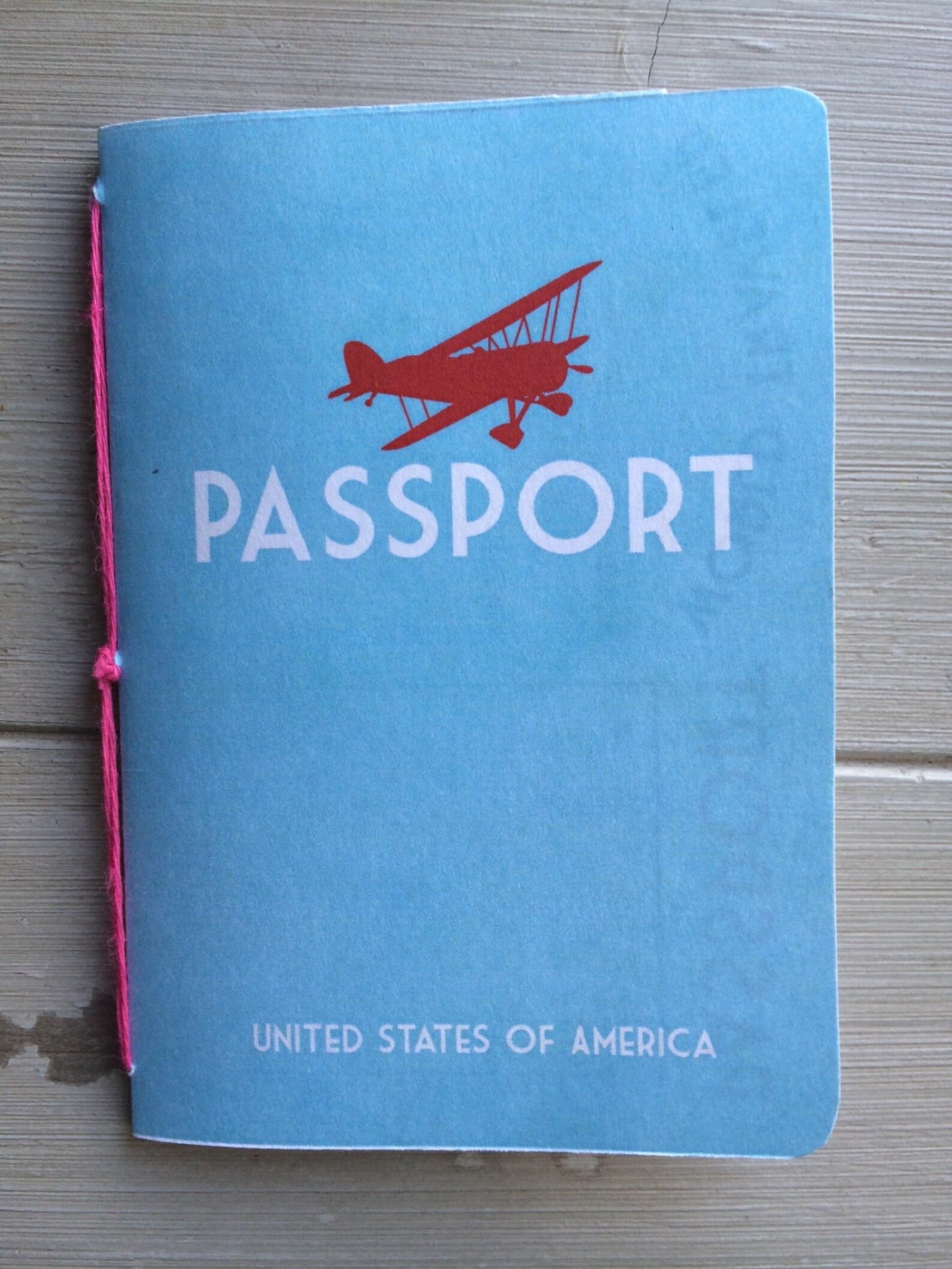 Passport Party Favor Party Passport Airplane Birthday Party | Etsy