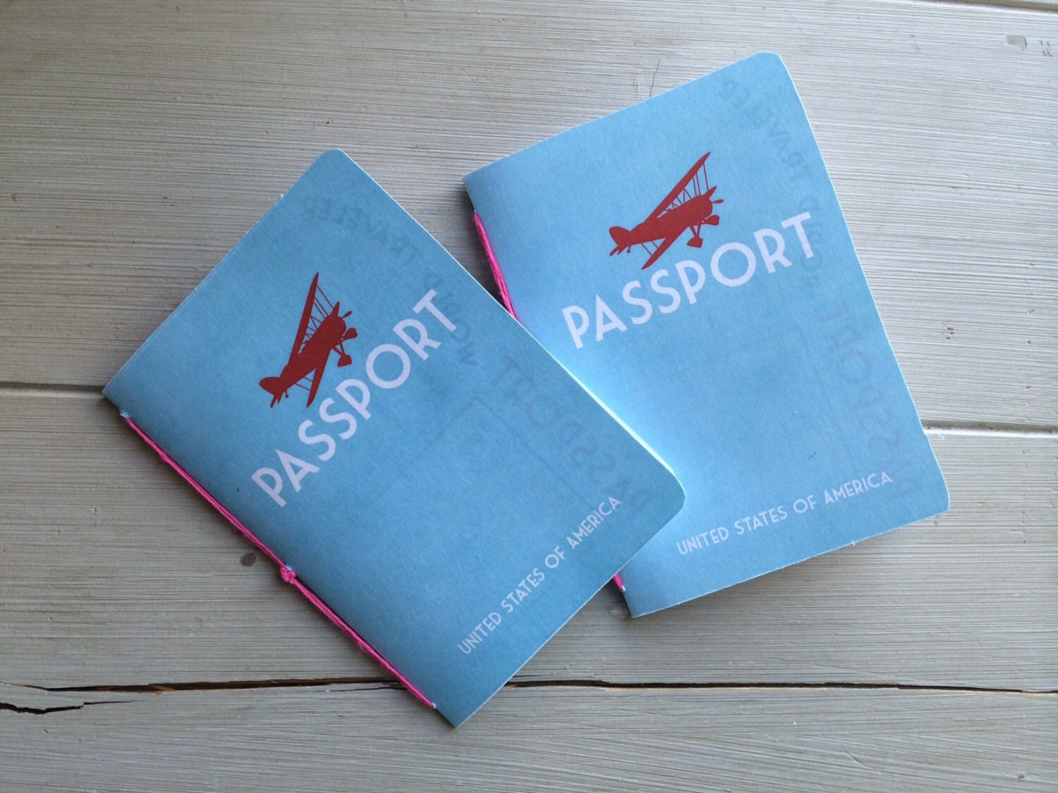 Passport Party Favor Party Passport Airplane Birthday Party | Etsy