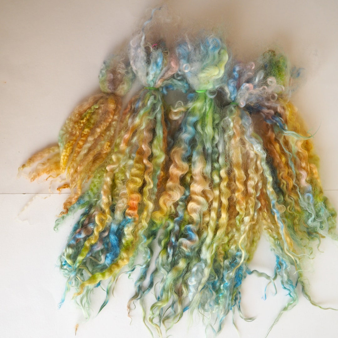 Teeswater Long Wool Locks 20-35 Cm Mix Dyed Colors for Spinning Felting ...