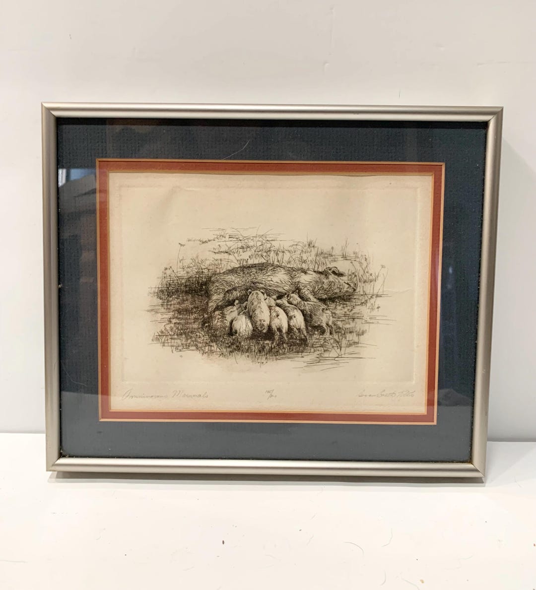 Omnivorous Mammals (pigs) by Susan Booth Titus, Artist Signed Numbered ...