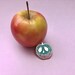 Pastel Poison Apple Pin Hard Enamel Lapel Pin, Badge - Etsy