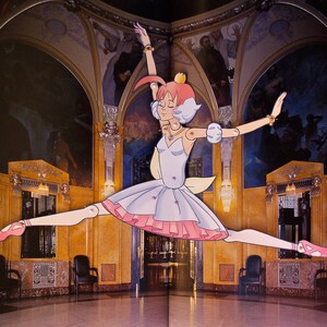 Princess Tutu - Posable Paper Doll - DIY Paper Crafting Kit - Etsy ...