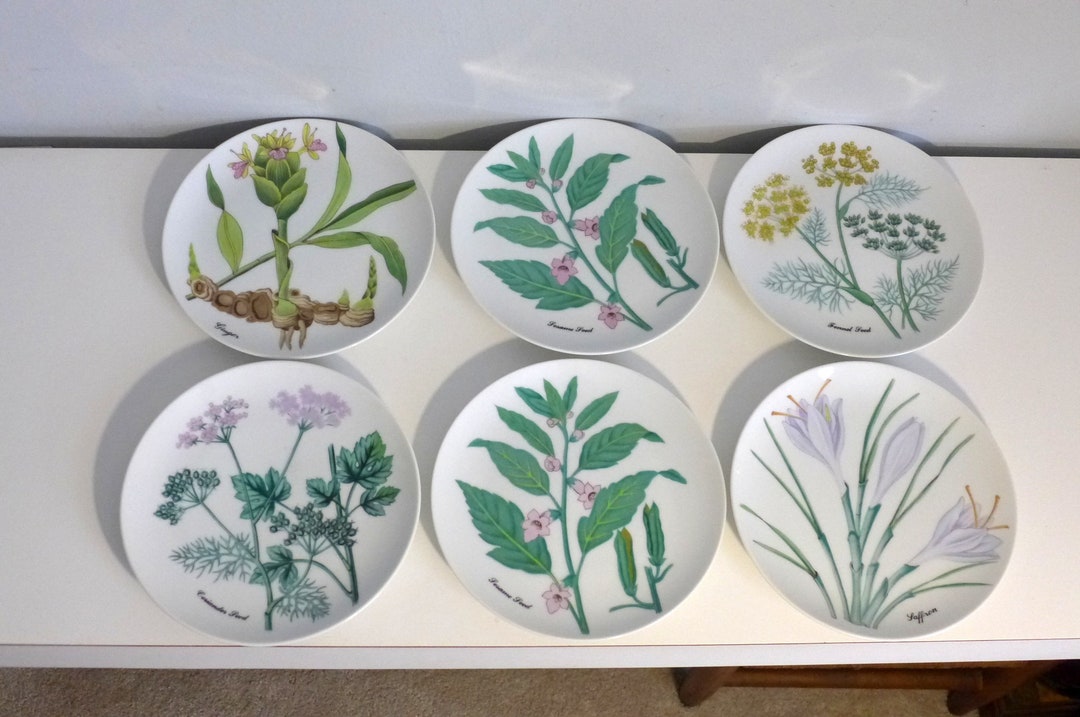 Set of 6 Horchow Herb Plates Garden Party Lunch Salad Plates 7 1/2 Inch ...