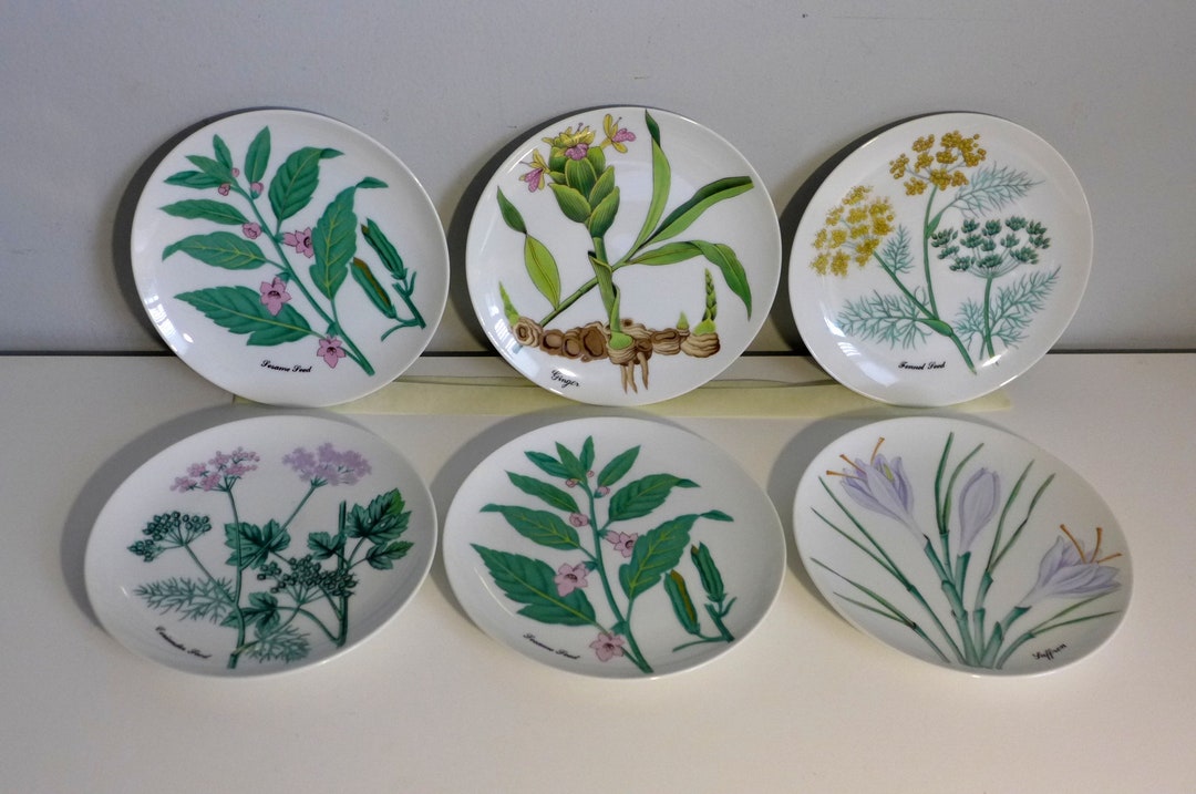Set of 6 Horchow Herb Plates Garden Party Lunch Salad Plates 7 1/2 Inch ...