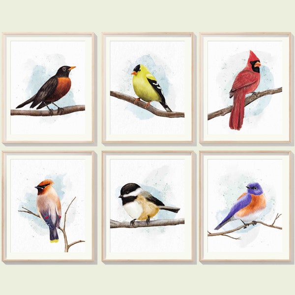 Robin Goldfinch - Etsy