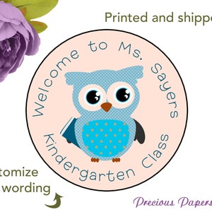 Personalized PRINTED Owl Classroom Stickers Back to School Library ...