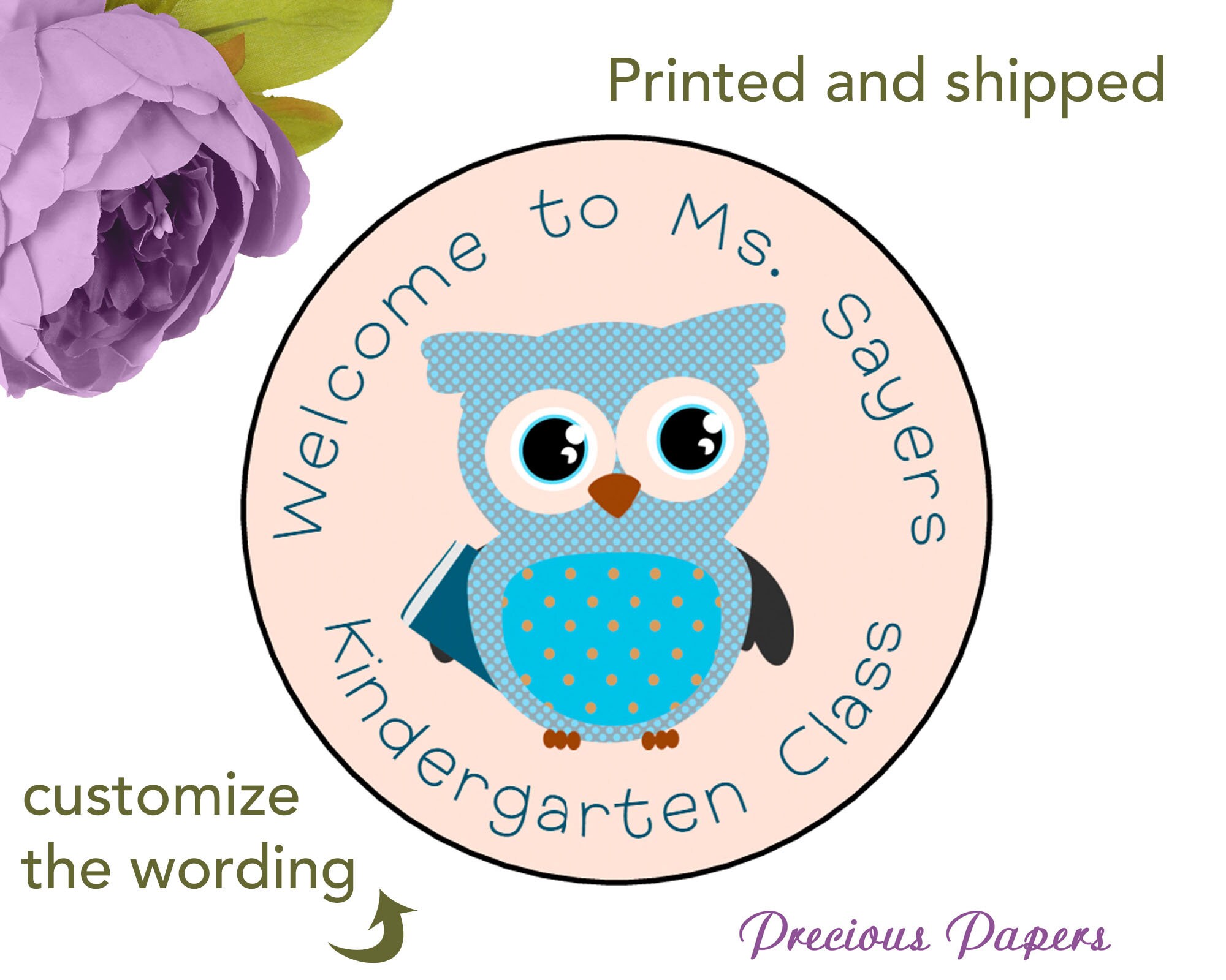 Personalized PRINTED Owl Classroom Stickers Back to School Library ...