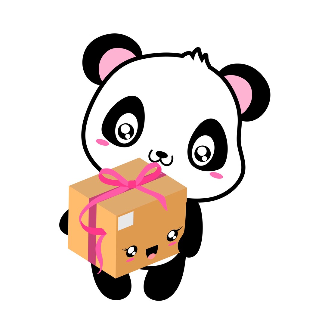 Panda Package - Etsy