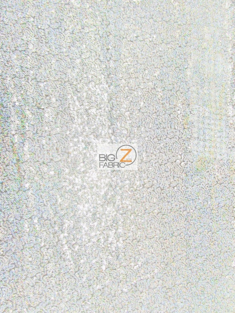 Mini Disc Sequin Nylon Mesh Fabric Holographic Shiny Silver | Etsy