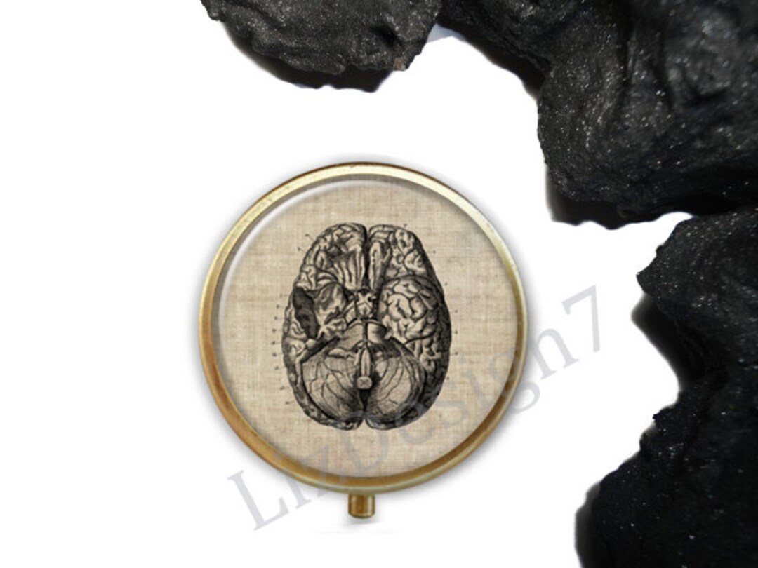 Human Brain Pill Box,brain Pill Case,trinket Box Storage,medical Pills ...