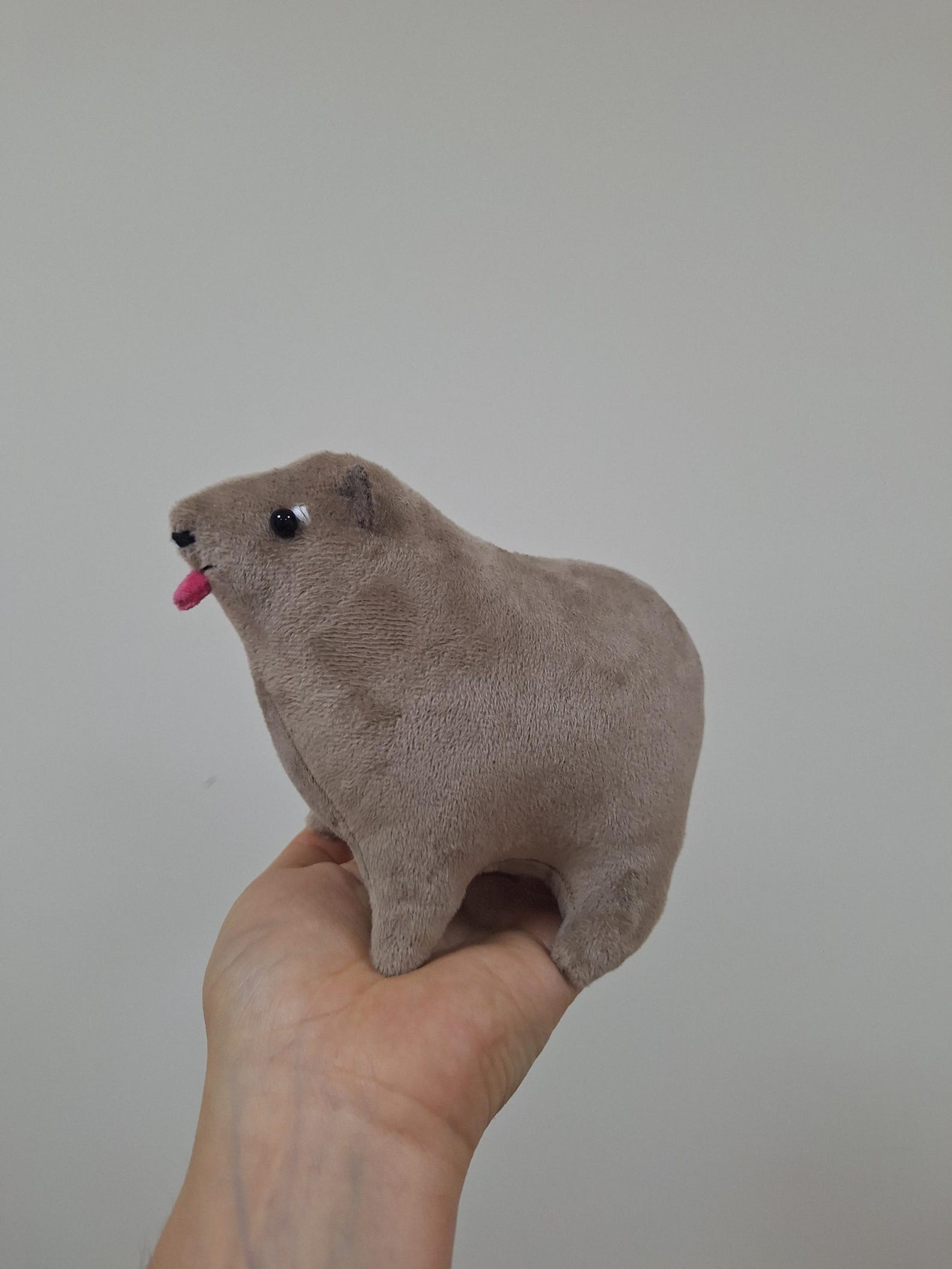 Rock Hyrax #6 - Rock Badger - Cape Hyrax - Dassie - 1 Pc - Soft Toy ...