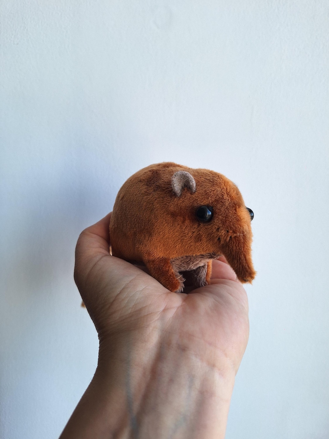 Short-eared Elephant Shrew - Round-eared Elephant Shrew - Etsy