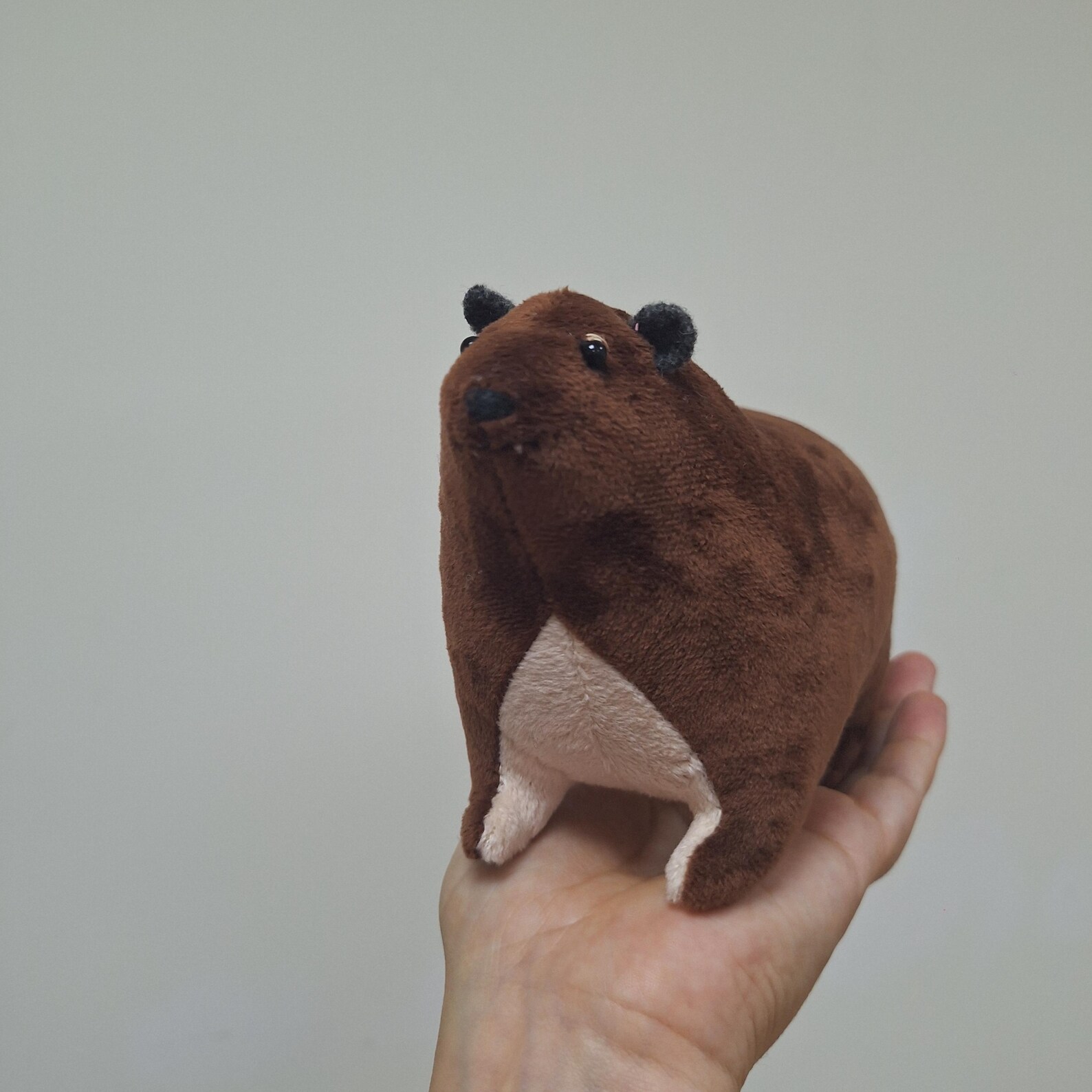 Rock Hyrax #5 - Rock Badger - Cape Hyrax - Dassie - 1 Pc - Soft Toy ...
